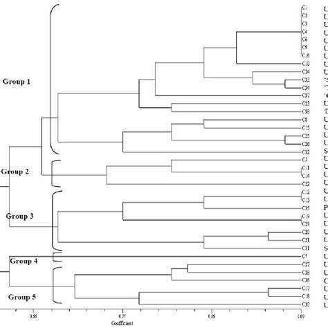 Dendrogram Of 38 Samples Of Citrus Using Ssr Markers Based On Complete