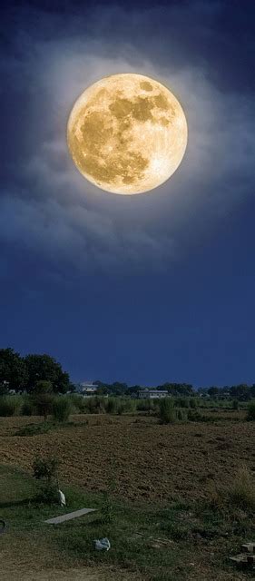 Download Ai Generated Moon Night Royalty Free Stock Illustration Image Pixabay