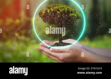 Agricultural Technologies For Growing Tree And Scientific Research In The Field Of Biology And