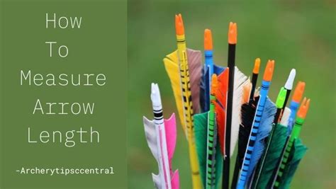 5 Simple Ways To Measure Arrow Length Compound Recurve Archery Tips Central