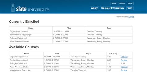 Slate Devlog Report Building With Chartjs By Ruel Gonzales Medium