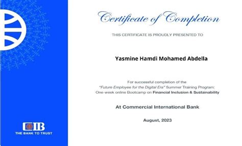 Yasmine Hamdi On Linkedin Cibsummerinternship2023 14 Comments
