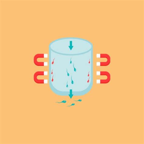 MACS Technique annexin columns Clínica Fertia