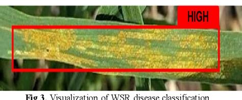 Figure 3 From Integrated Yolov4 Deep Learning Pretrained Model For Accurate Estimation Of Wheat