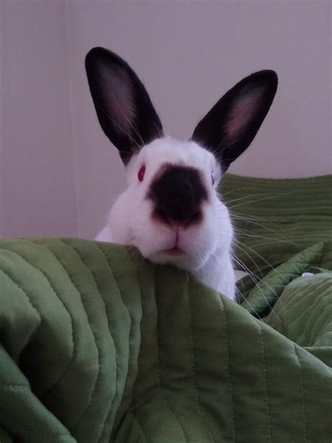 This Is A Fun Photo Blog Part 2 Featuring More Of Your Favorite Photos