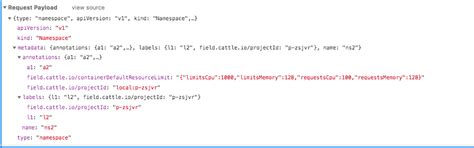 ProjectId Is Ignored When A Namespace Has Multiple Labels Or When Labels Annotations And