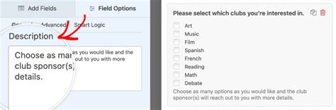 How To Customize The Checkboxes Field In WPForms