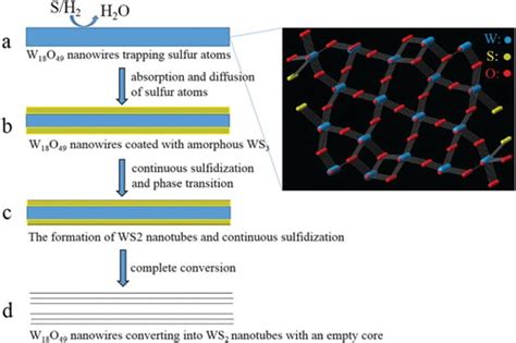 Full Article Thin Ws2 Nanotubes From W18o49 Nanowires