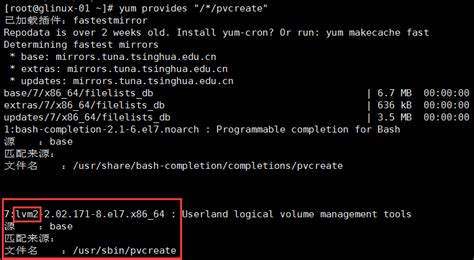 lvm讲解 磁盘故障小案例 csdn博客