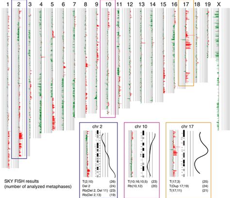 comparison of array cgh and chromosome cgh shown is an array cgh