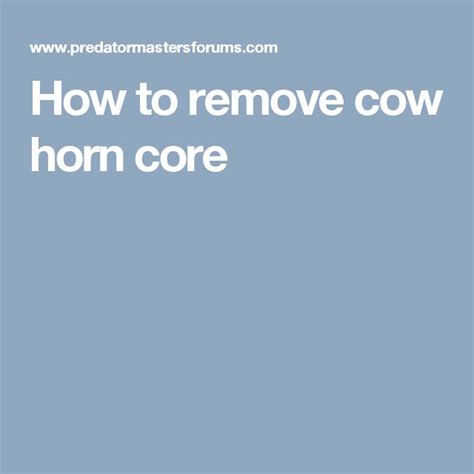 How To Remove Cow Horn Core Cow Horns Horns Cow