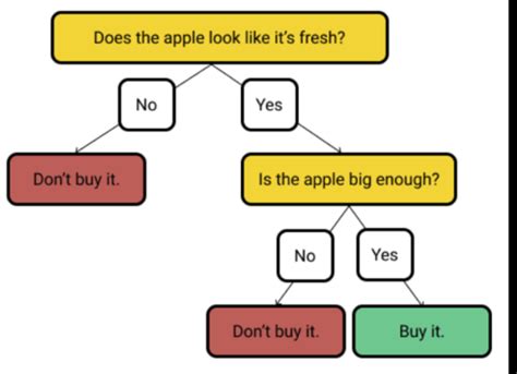 Dataquest 13 Control Flow Iteration And Functions In R Flashcards