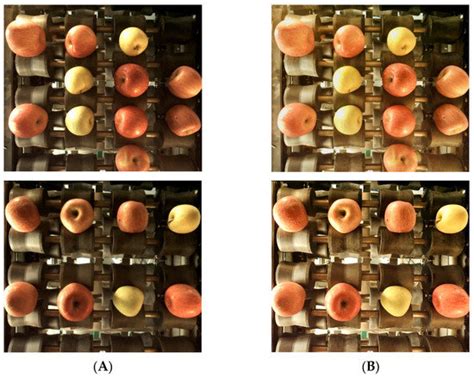 Apple Grading Based On Multi Dimensional View Processing And Deep Learning