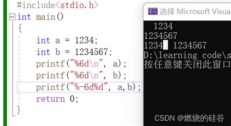c语言学习笔记。printf和scanf的花样（一） csdn博客
