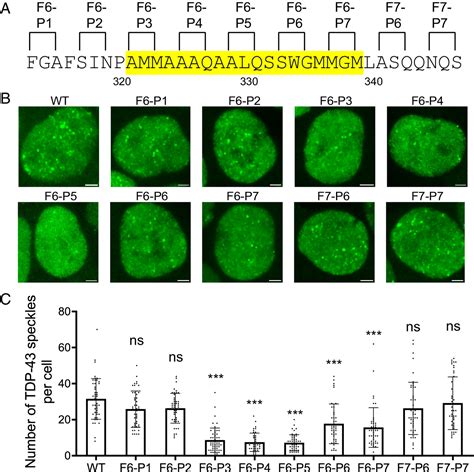 A Simple Method For Mapping The Location Of Cross β Forming Regions Within Protein Domains Of