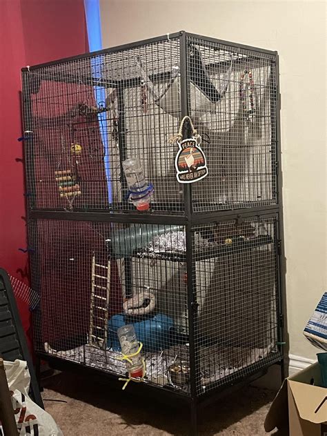 Can We Add More Rats Rrat