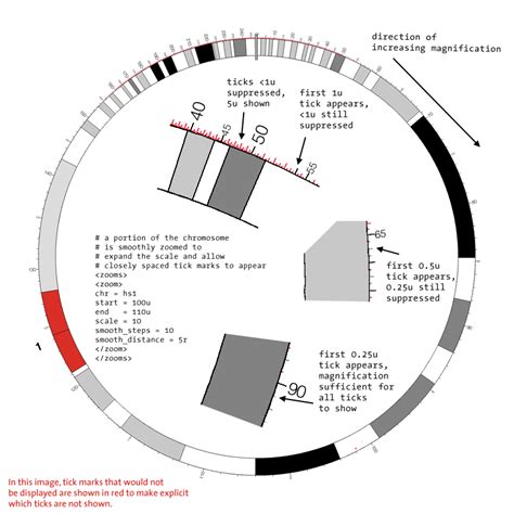 Circos Tutorials Tick Marks Grids And Labels Tick Marks Margins