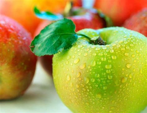 Mevalar Chiroyli Rasmlar