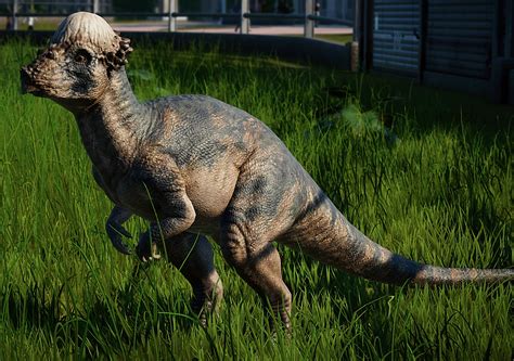 Jurassic Park Pachycephalosaurus