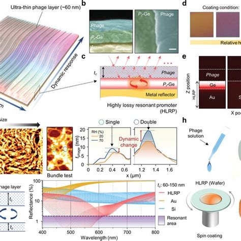 A Schematic Illustration Showing Colorimetric Sensing Optimization Download Scientific Diagram