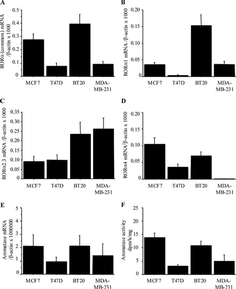 Expression Of Ror Isoforms And Aromatase In Breast Cancer Cells Ad Download Scientific