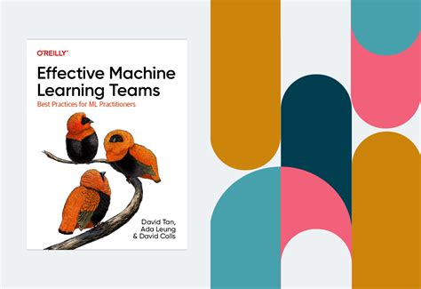 Effective Machine Learning Teams Thoughtworks