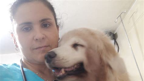 Ca Camvet Centro De Atendimento Médico Veterinário Ltda