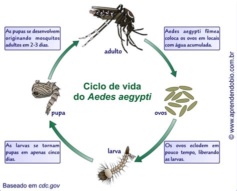 Ecologia Aprendendo Biologia Página 2