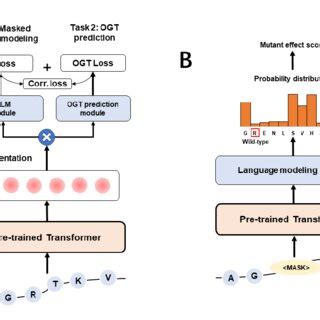 (PDF) A general Temperature-Guided Language model to engineer enhanced Stability and Activity in ...