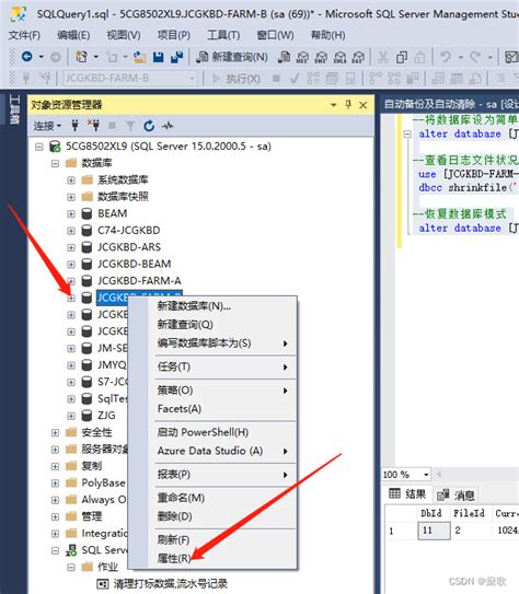 sql server2019自动定期清除日志 sqlserver2019集群下清除日志 csdn博客