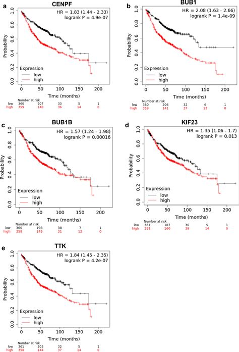 Prognostic Analysis Of Cenfp A Bub1 B Bub1b C Kif23 D And Download Scientific