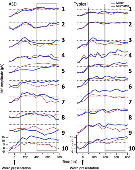 Individual Erp Profiles For Auditory Evoked Potentials Individual Erp Download Scientific