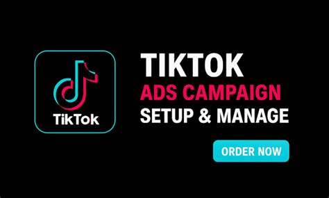 Run tik tok ads, tik tok ads manager, and tiktok marketing tik tok manager by Ethical_pro | Fiverr