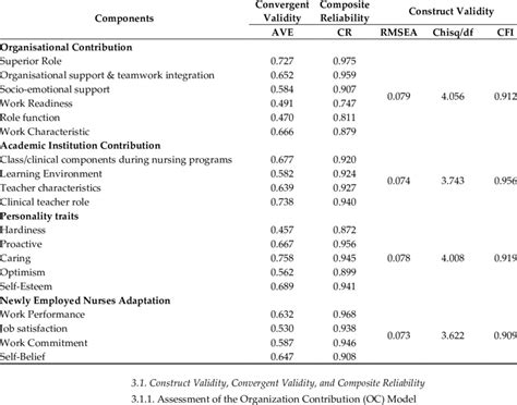 the cfa report for construct validity convergent validity and