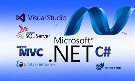 Asp Net Developer Webforms Winforms Rest Api Asp Net Core Php Unity By Sohaibmushtaq Fiverr