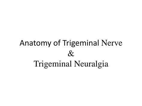 Solution Trigeminal Neuralgia 1 Studypool Solution Trigeminal Neuralgia 1 Studypool