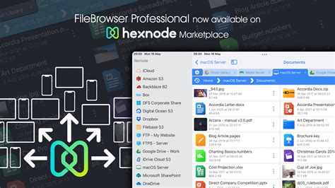 filebrowser professional is filebrowser professional