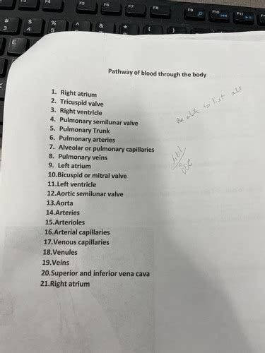 Chapter 15 Flashcards Quizlet