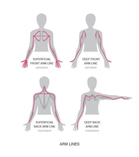 Back Trigger Points Chart Self Massage Trigger Point Guide Artofit