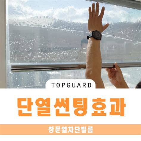 눈부시고 뜨거운 창문 열차단 필름은 얼마큼 어둡나요 네이버 블로그