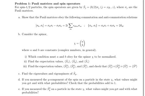solved problem 1 pauli matrices and spin operatorsfor
