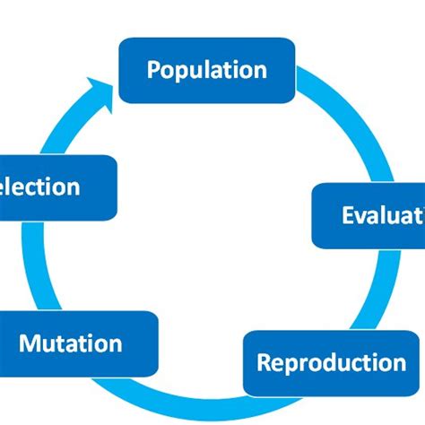 Schematic Representation Of The Main Components And Workflow For