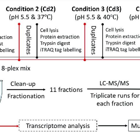 Experimental Design For Itraq Based Proteomic And Matched