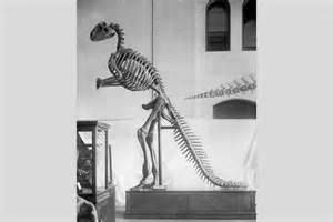 Stunning Paleoart Shows What Dinosaurs Really Looked Like Cnn