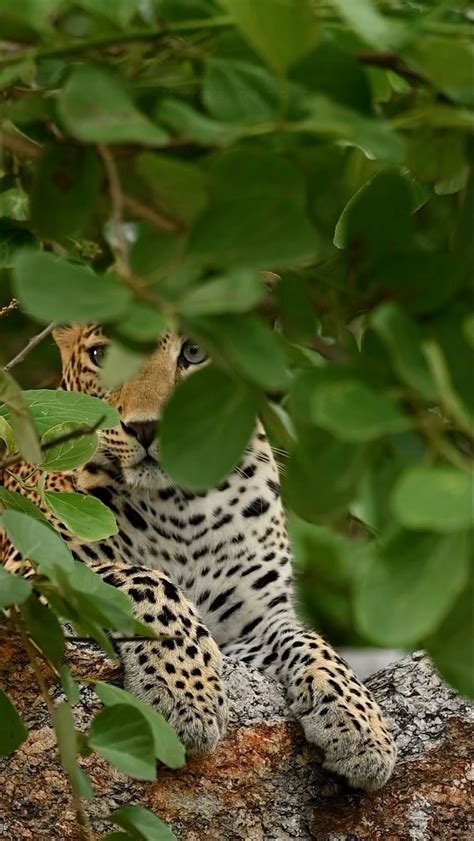 Amartya Niraj Mistry Amartyamistry • Instagram Photos And Videos