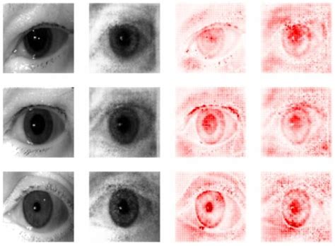 Results Of Privacy Preserving Model With Siamese Recognition Not Download Scientific Diagram