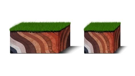 82000 Grass Cross Section Pictures