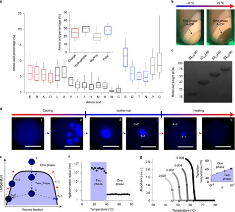 Artificial Intrinsically Disordered Polypeptides Inspired From Native Download Scientific