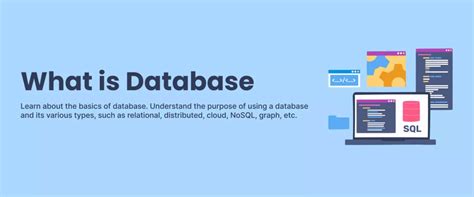 What Is A Database Developer