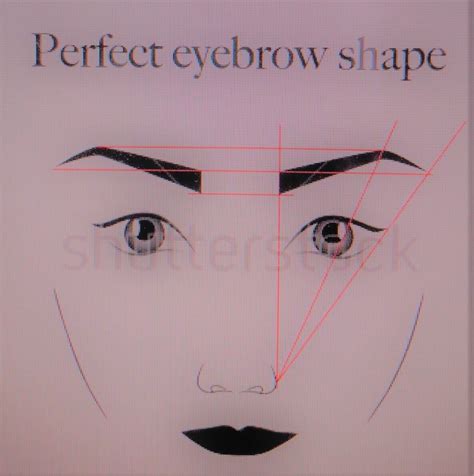 Beauty Series Part Eyebrows Are Trending DigitalMuscle Com